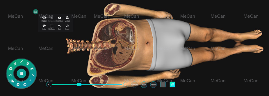 88-Inch Virtual Anatomy Table | China Manufacturer